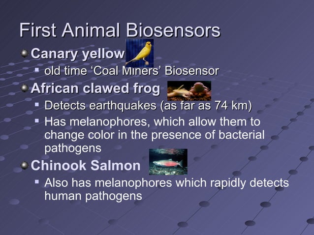 Detection of environmental pollutant using biosensors zen mergal | PPT ...