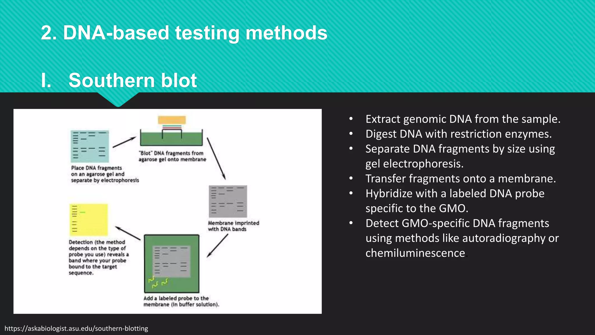 Detection of GMOs from foods using rDNA technology.pptx