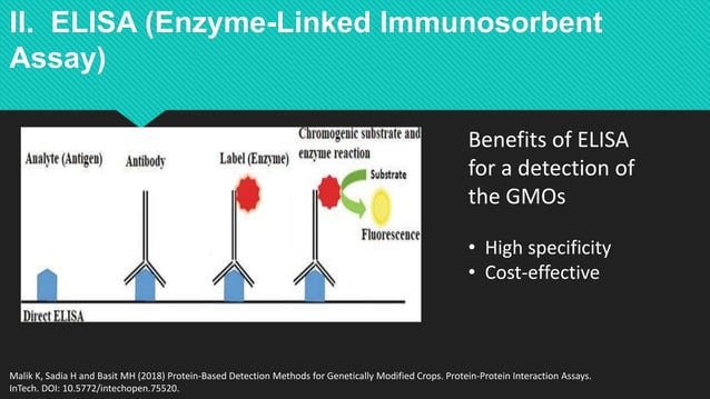 Detection of GMOs from foods using rDNA technology.pptx