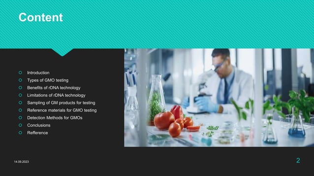 Detection of GMOs from foods using rDNA technology.pptx