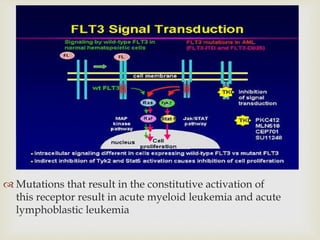 Detection of heterogeneous flt3 itd mutant variants in | PPTX