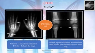 DETECTION OF LEAD.pptx