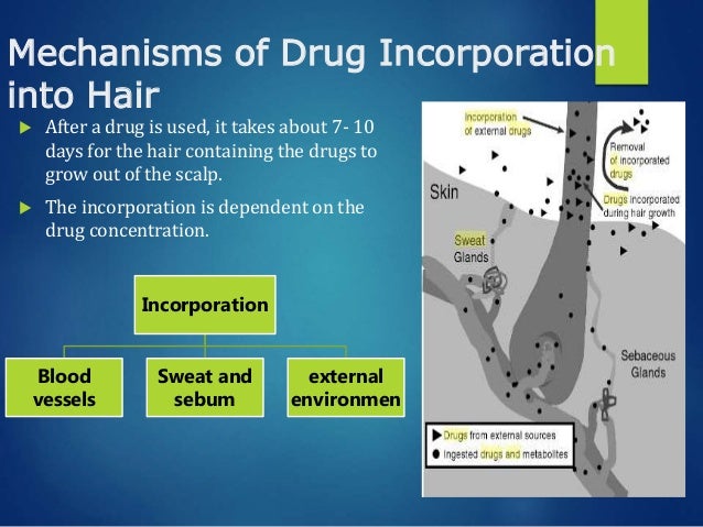 Detection of narcotic substance in hair