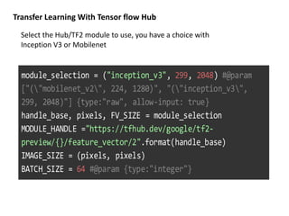 Detection of plant diseases | PPT