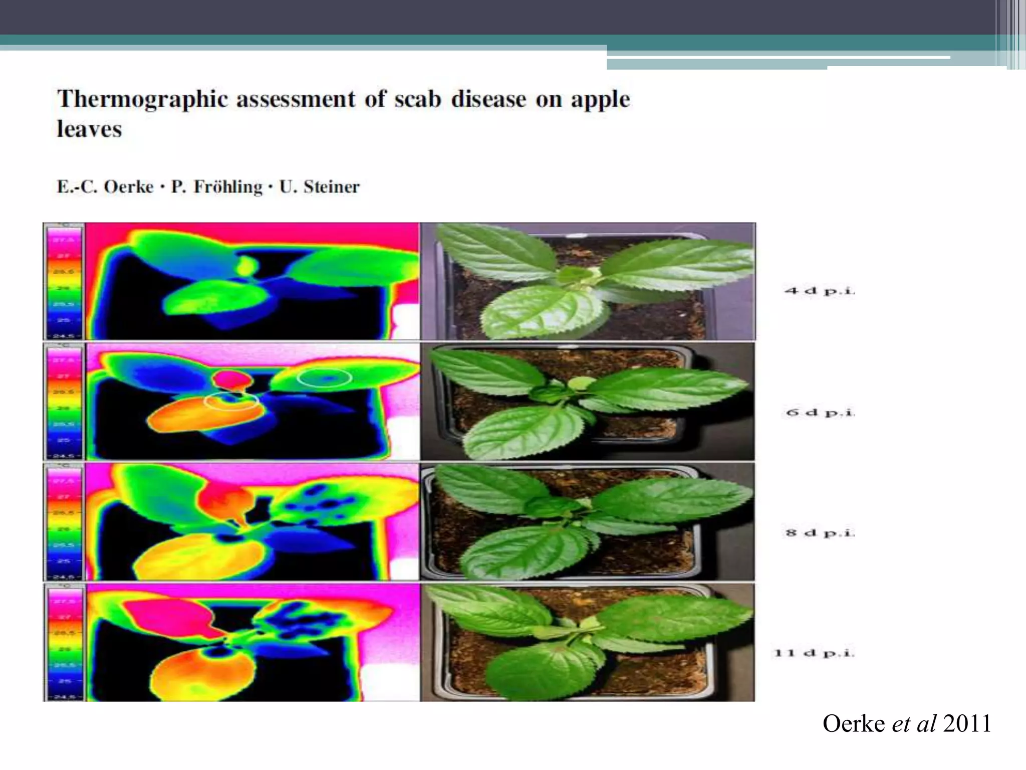 Detection of plant Pathogens | PPTX