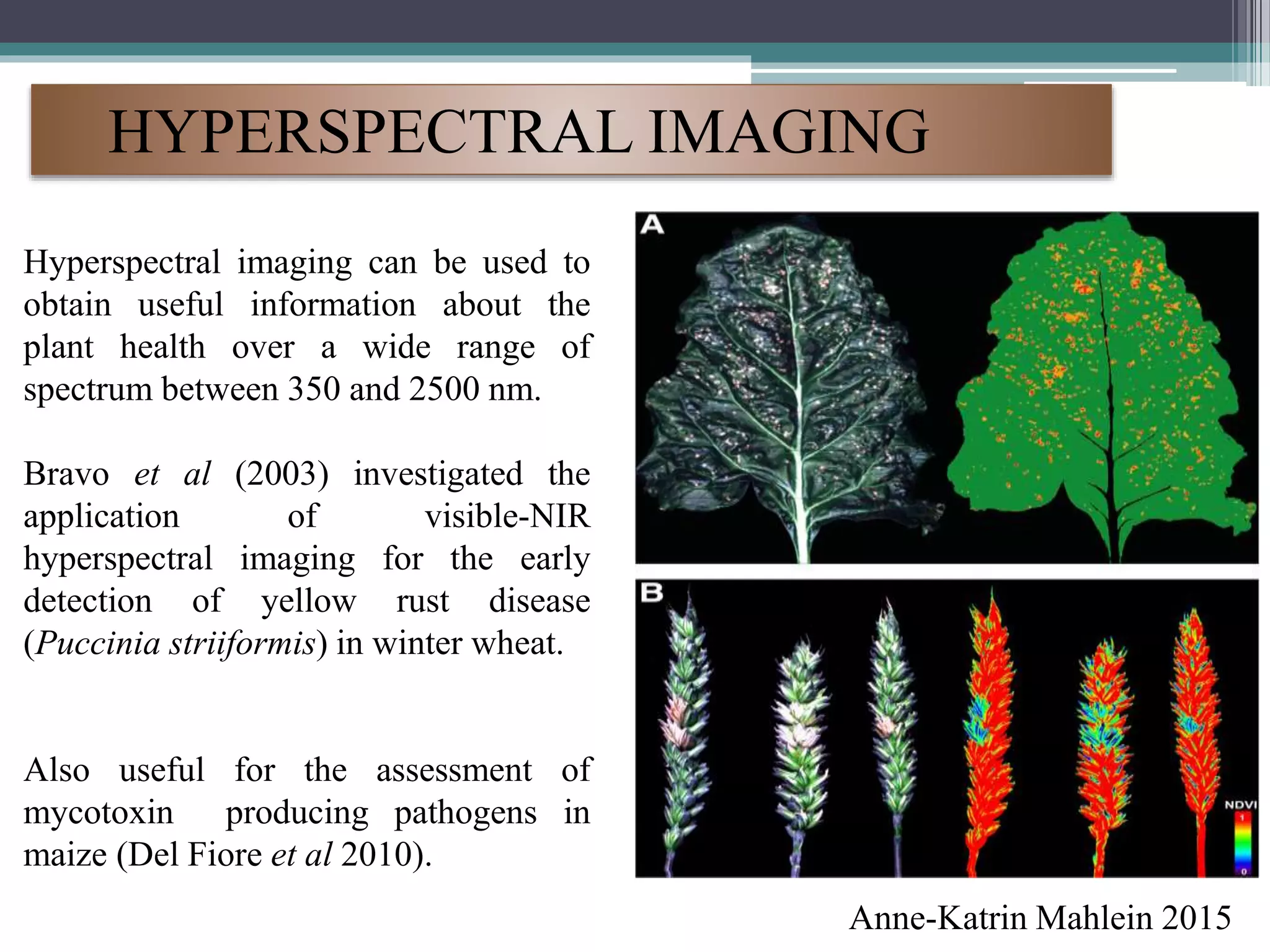 Detection of plant Pathogens | PPTX