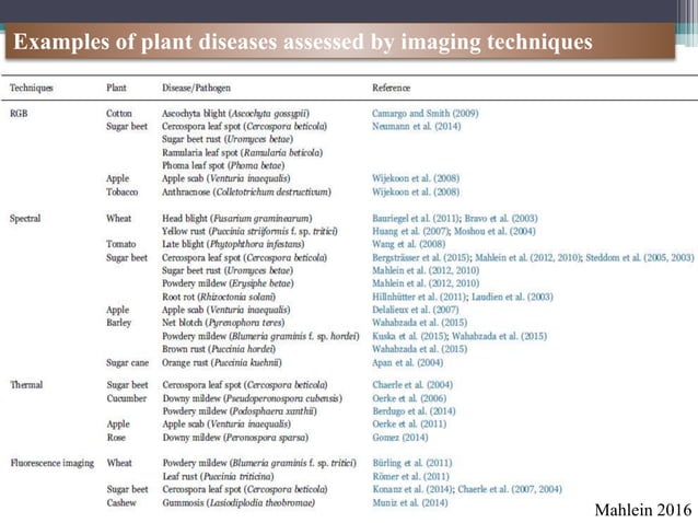 Detection of plant Pathogens | PPTX | Gardening | Home & Garden