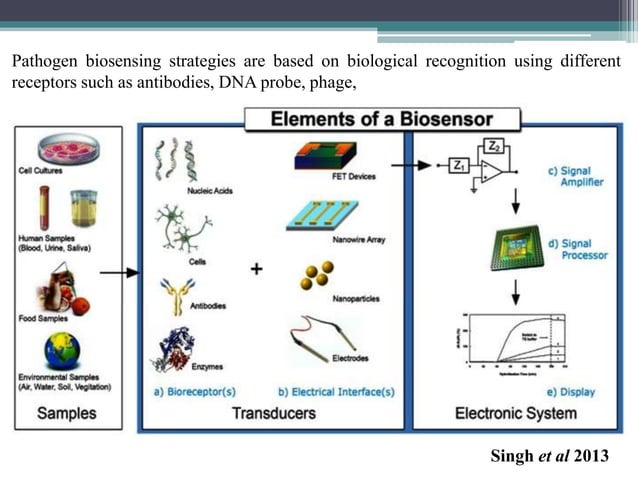 Detection of plant Pathogens | PPTX | Gardening | Home & Garden