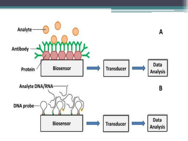 Detection of plant Pathogens | PPTX | Gardening | Home & Garden