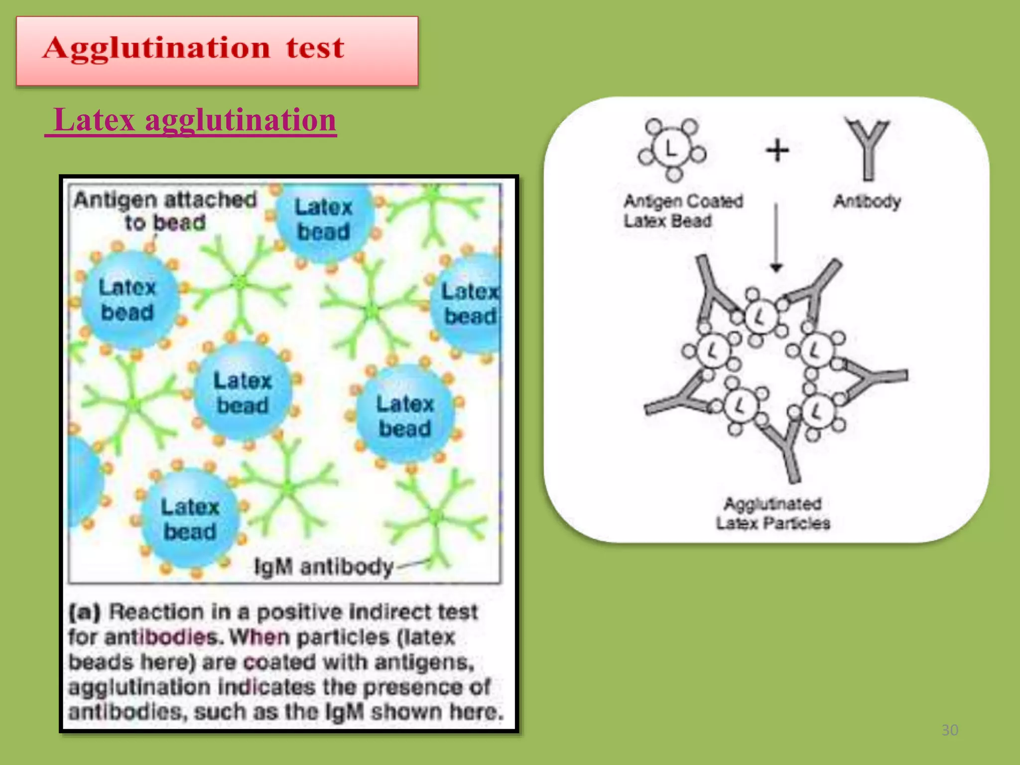 Detection of plant pathogens using non pcr based techniques | PPTX ...