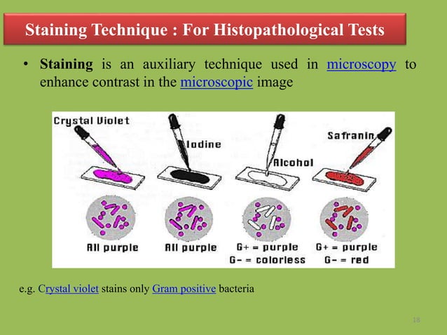 Detection of plant pathogens using non pcr based techniques | PPT