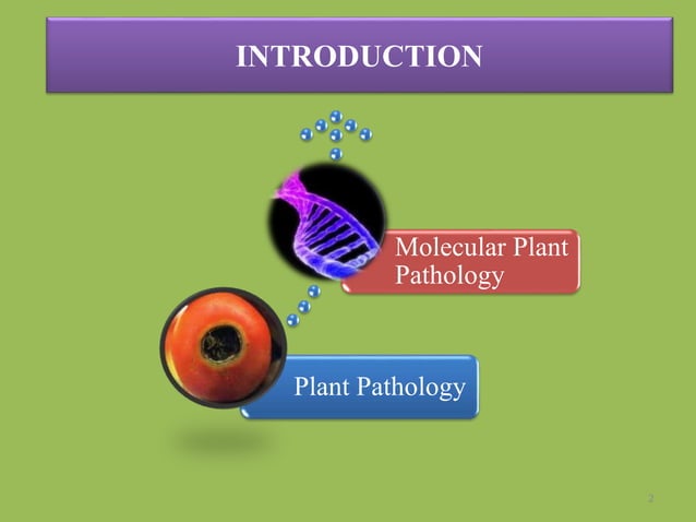 Detection of plant pathogens using non pcr based techniques | PPTX ...