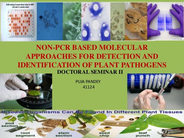 Non Pcr