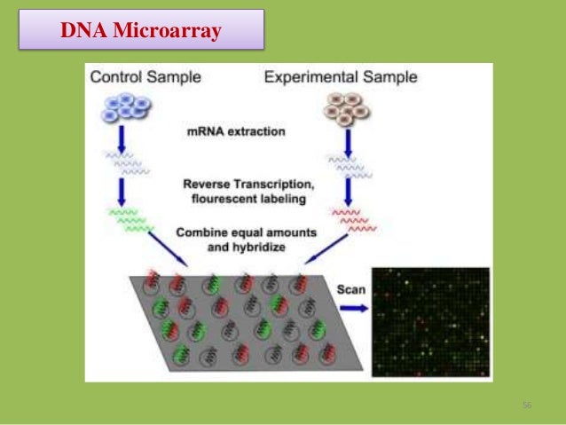 Detection of plant pathogens using non pcr based techniques