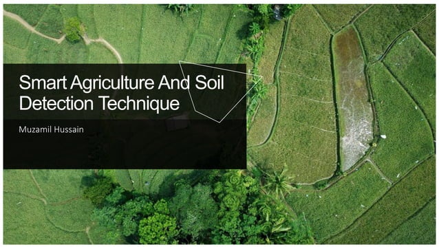 Soil Detection Technique | PPTX