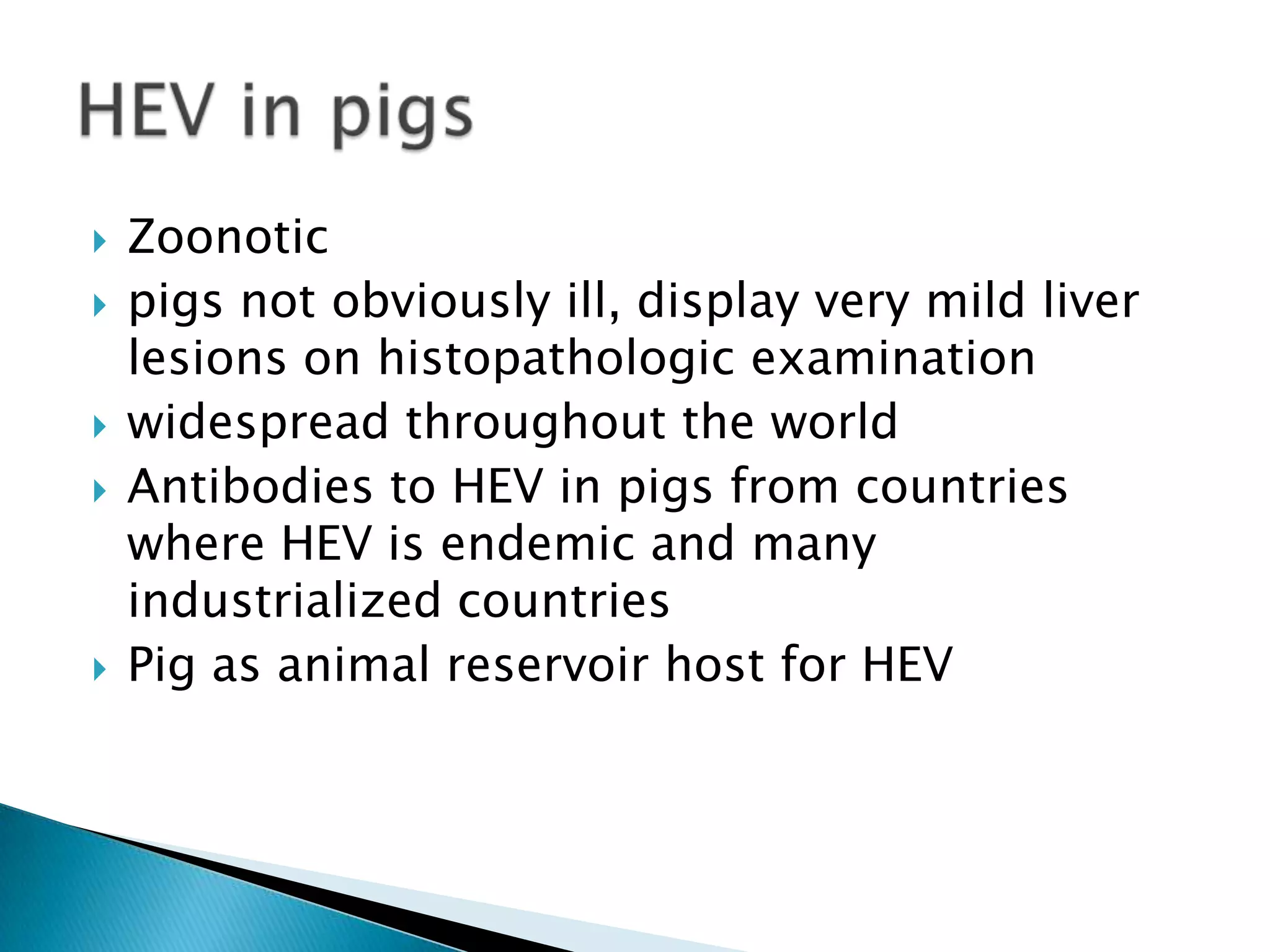 Detection of swine hev modified | PPTX