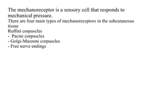 Detection of the mechanoreceptor (2) | PPTX | Computer Peripherals ...