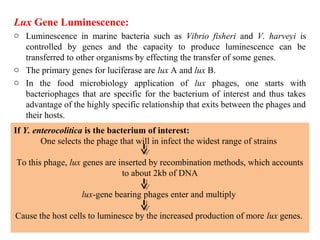 Detection techniques for microorganisms in food of animal | PPT