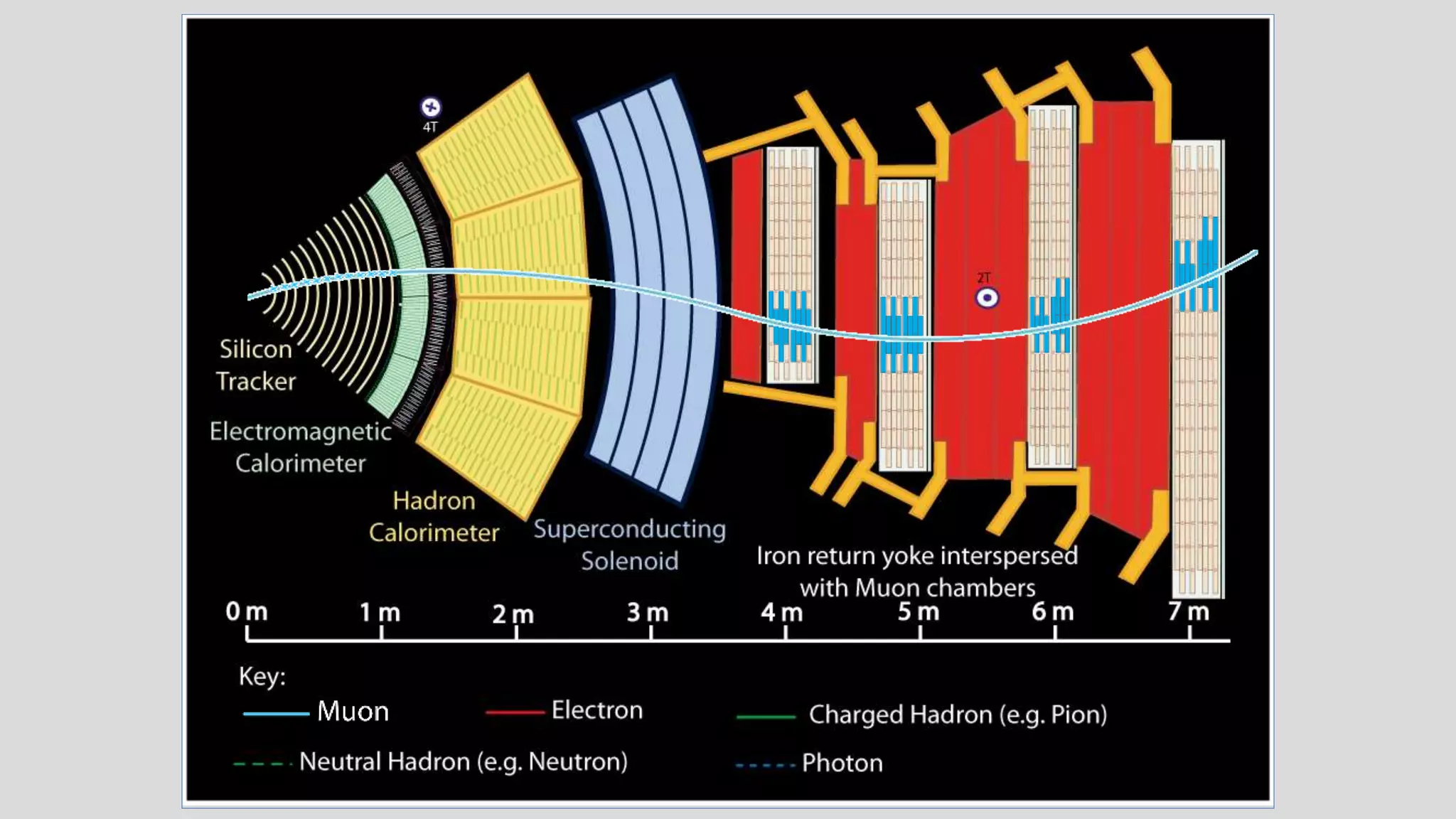 Detector animation.pptx