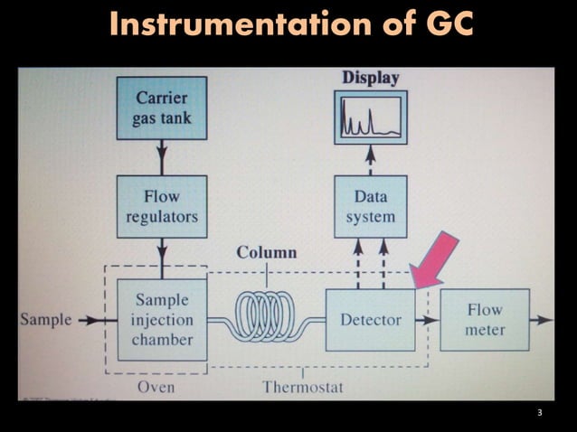Detectors in GC | PPTX