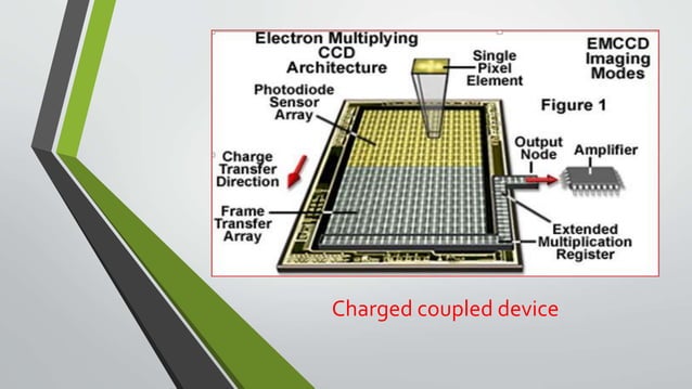 Detectors used in array spectrophotometer | PPTX | Cameras and Camcorders | Consumer Electronics