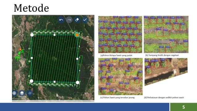 Deteksi dan Hitung Pohon Kelapa Sawit-Deep Learning | PPTX