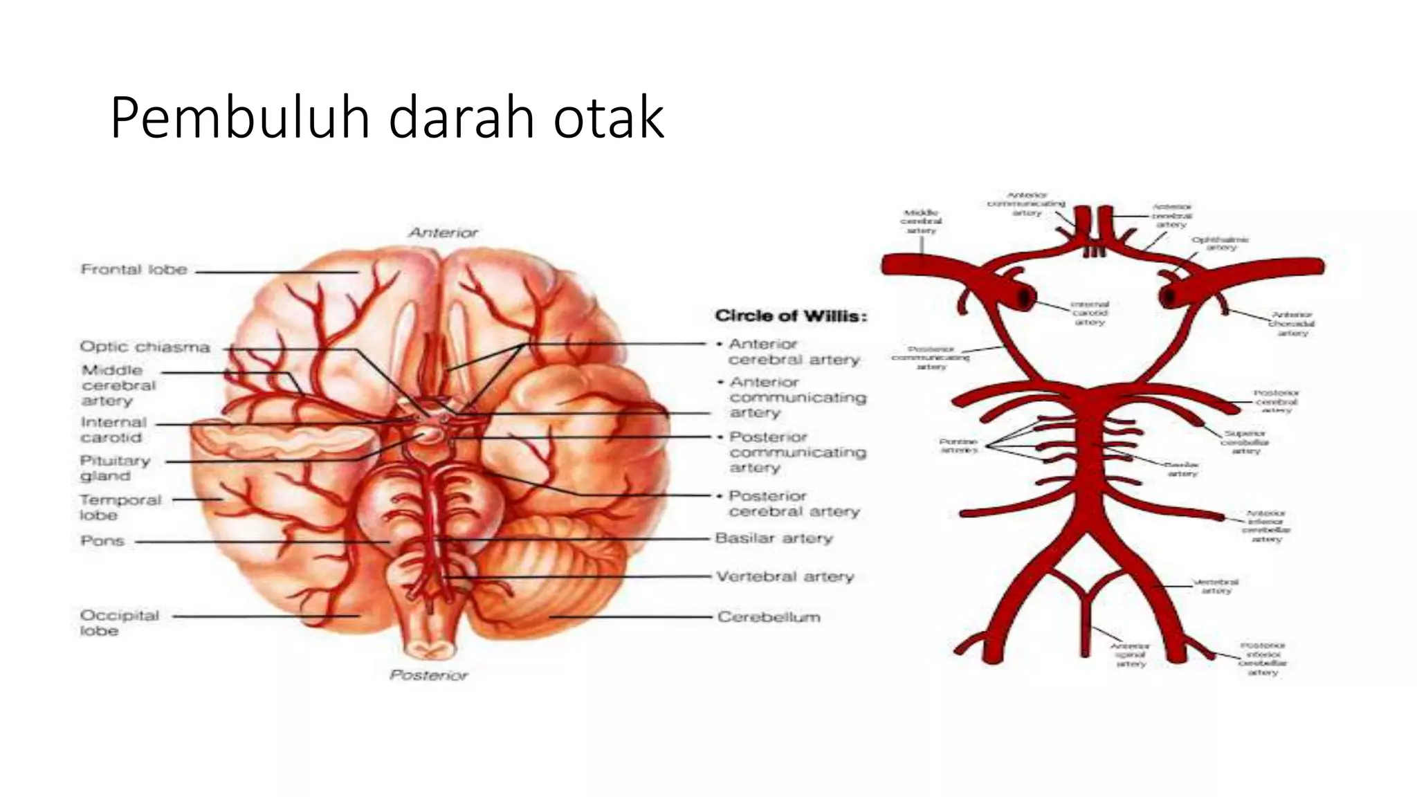 Deteksi dini stroke hemoragik.pptx