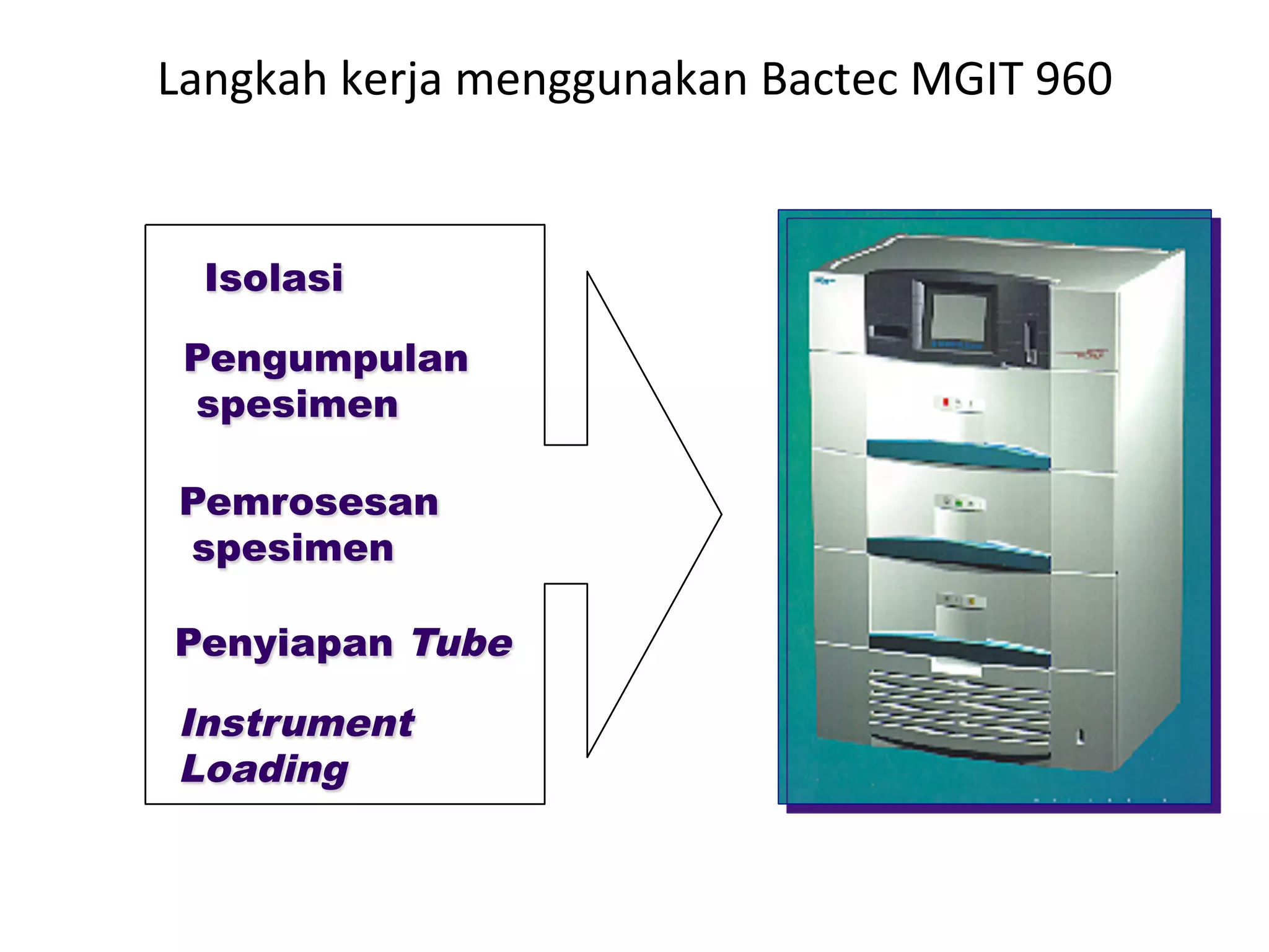 Deteksi mikobakterium menggunakan manual mgit dan bactectm mgittm 960 system | PDF