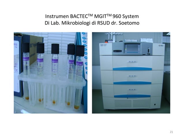 Deteksi mikobakterium menggunakan manual mgit dan bactectm mgittm 960 ...