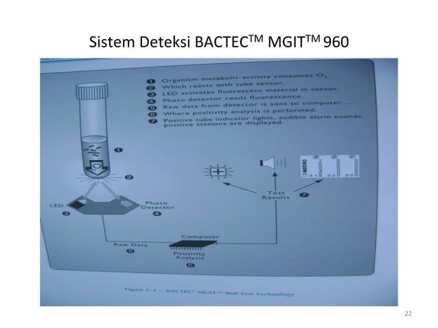Deteksi mikobakterium menggunakan manual mgit dan bactectm mgittm 960 ...