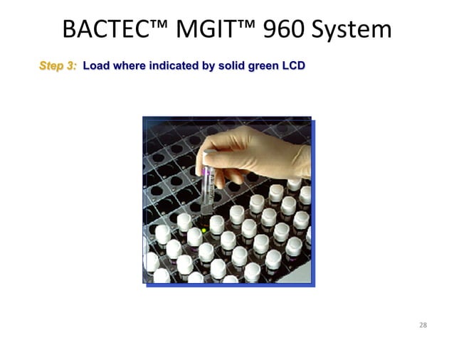 Deteksi mikobakterium menggunakan manual mgit dan bactectm mgittm 960 system | PDF