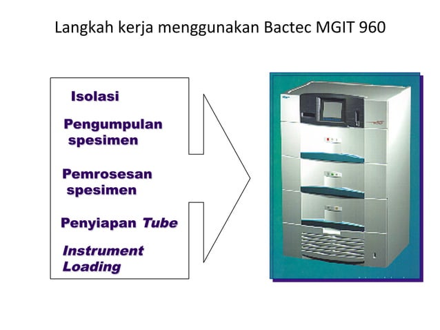 Deteksi mikobakterium menggunakan manual mgit dan bactectm mgittm 960 ...