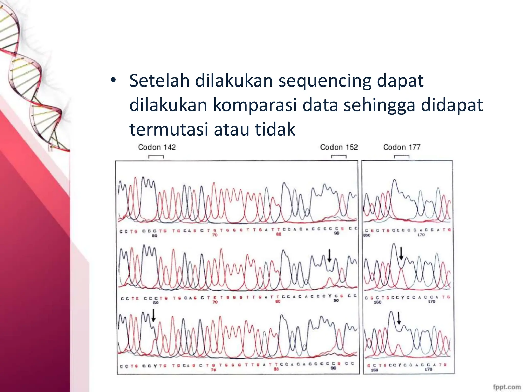 Deteksi Mutasi-2 pada manusia untuk infeksi ataupun bukan.ppt