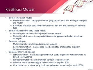 Deteksi Mutasi-2 pada manusia untuk infeksi ataupun bukan.ppt