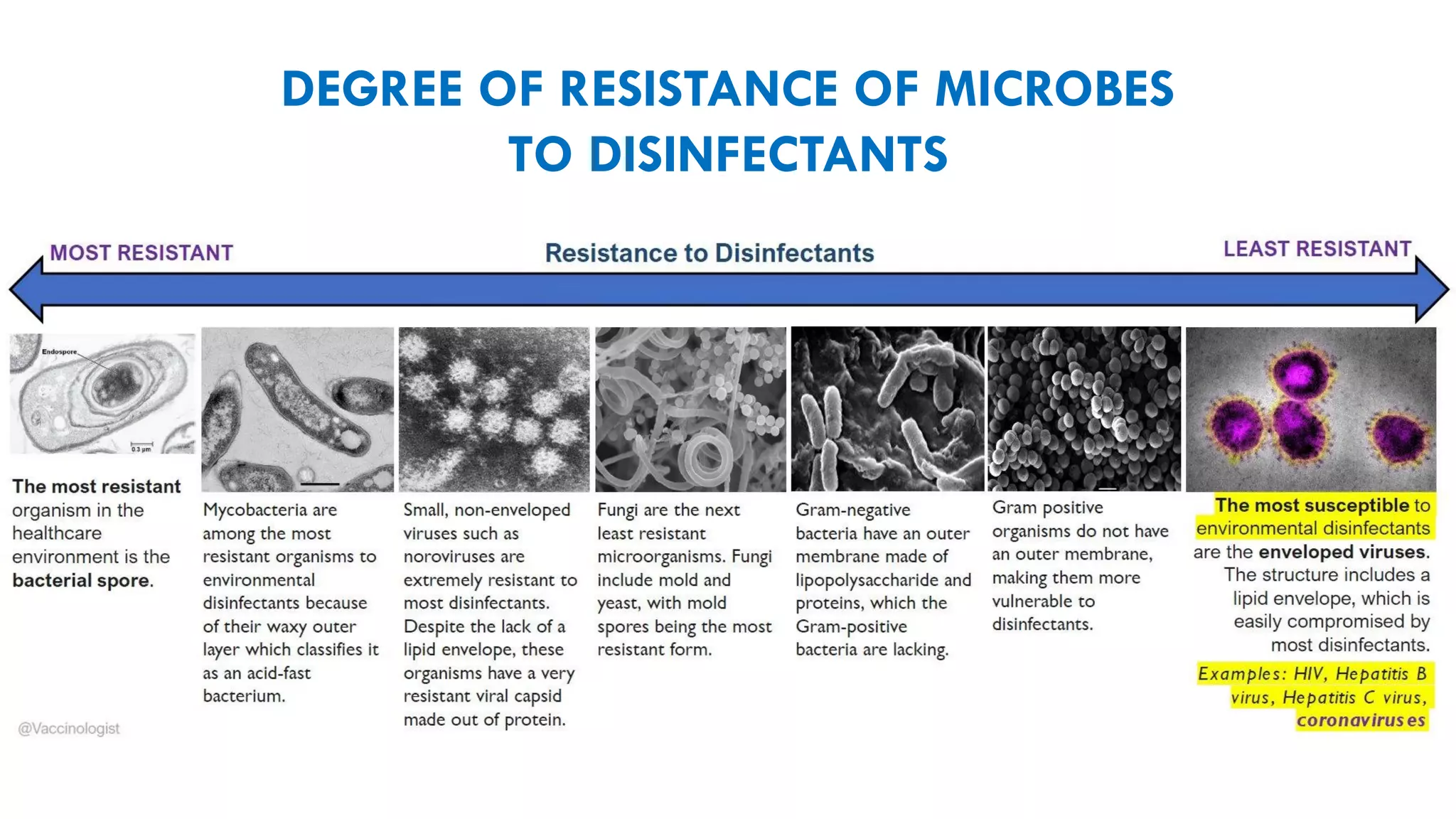 Disinfection and Sanitation: Farm Hygiene | PDF