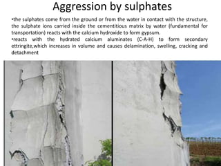 Deterioration of concrete | PPTX | Chemistry | Science