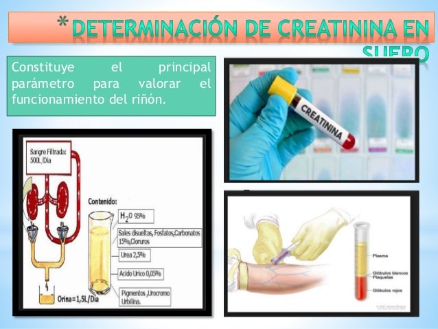 Determinacion de-la-creatinina (3)
