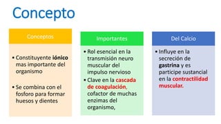 Determinacion de Calcio | PPTX