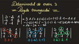 Determinanţi | PDF