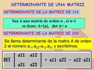 Determinantes.ppt