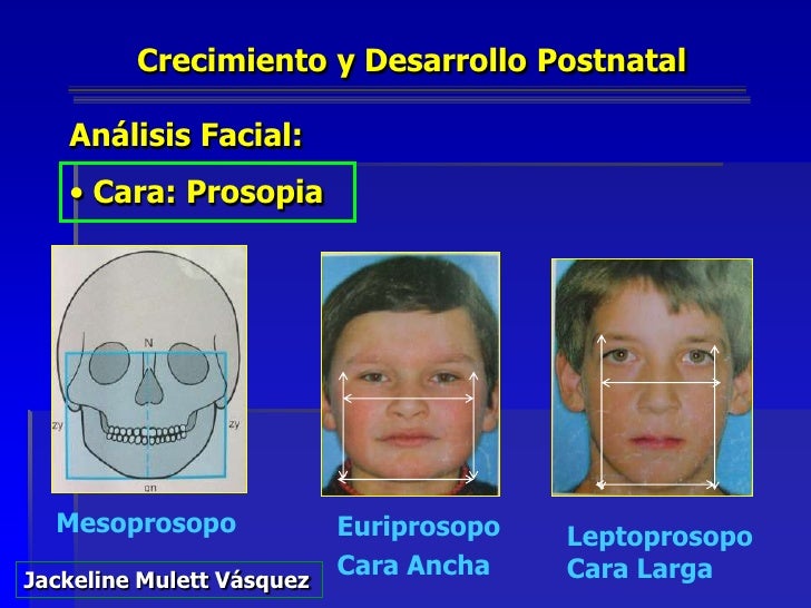 Determinantes Y Morfologia Craneofacial Regional 2010