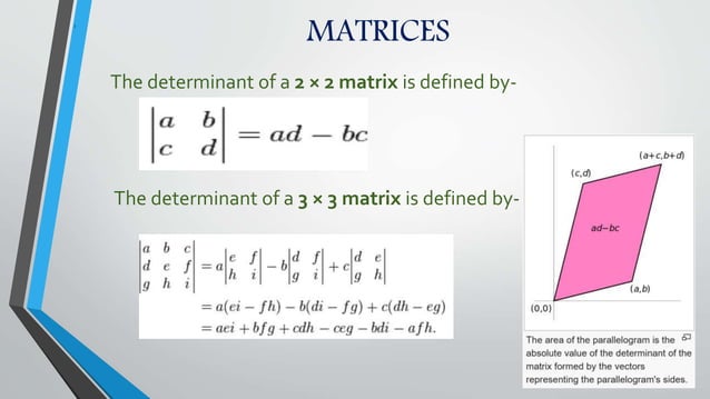 Determinants | PPTX | Physics | Science