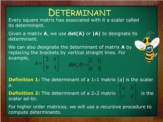 Determinants | PDF