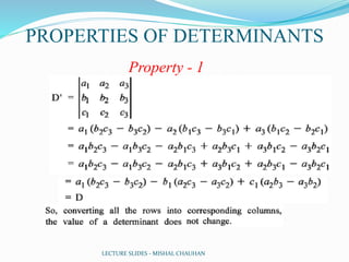 DETERMINANTS CLASS XII MODULE 1 | PDF