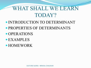 DETERMINANTS CLASS XII MODULE 1 | PDF