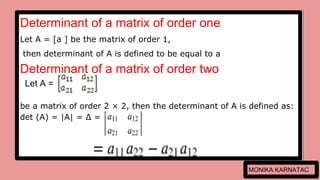 determinants-period-1-1.pptx