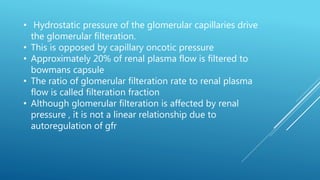 Determinants and regulations of glomerular filteration | PPTX