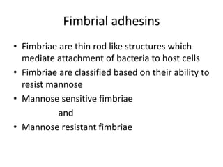 Determinants of bacterial pathogenicity | PPTX