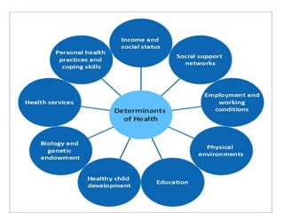 DETERMINANTS OF HEALTH | PPT