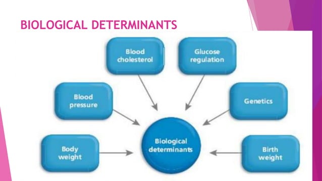 DETERMINANTS OF HEALTH.pdf | Medical Health